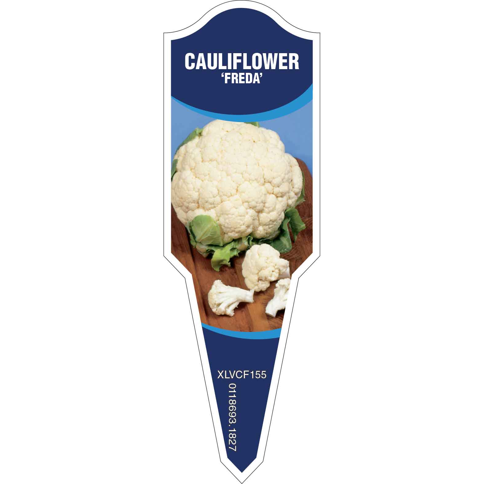 CAULIFLOWER Freda - Egmont Commercial