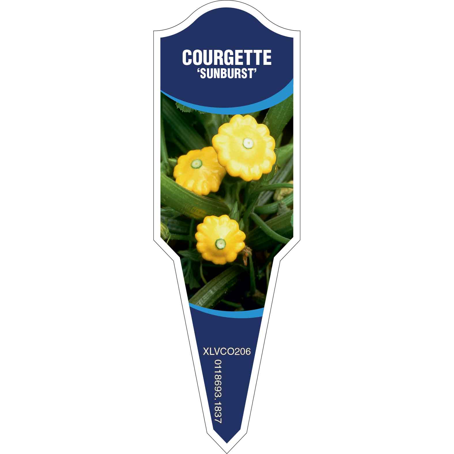 COURGETTE Sunburst - Egmont Commercial