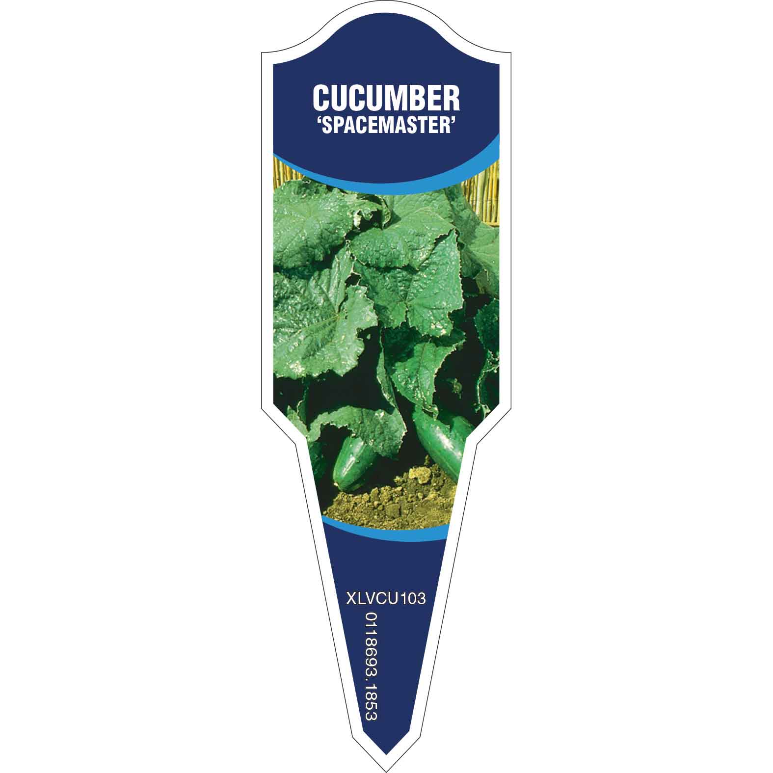 CUCUMBER Spacemaster - Egmont Commercial