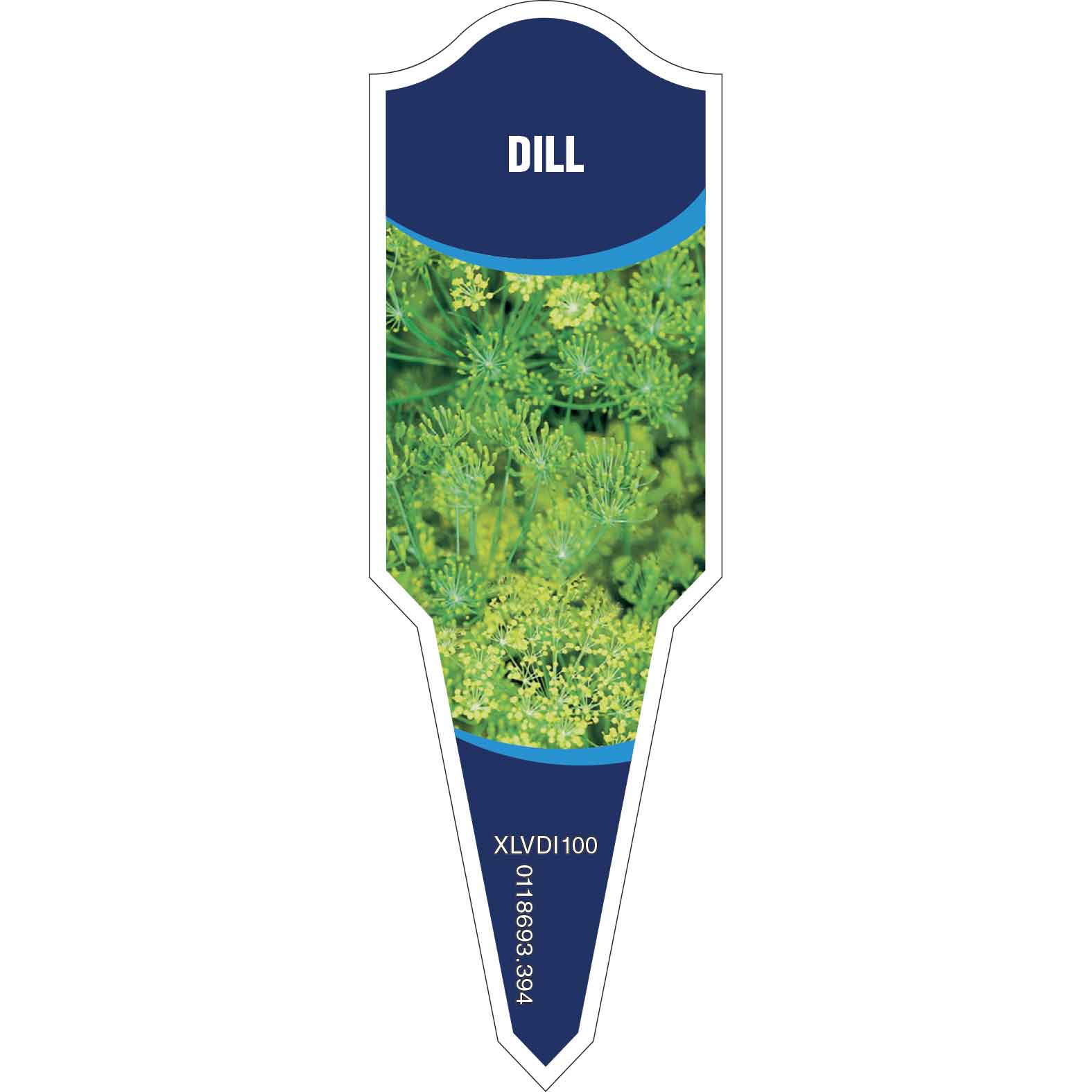 DILL - Egmont Commercial