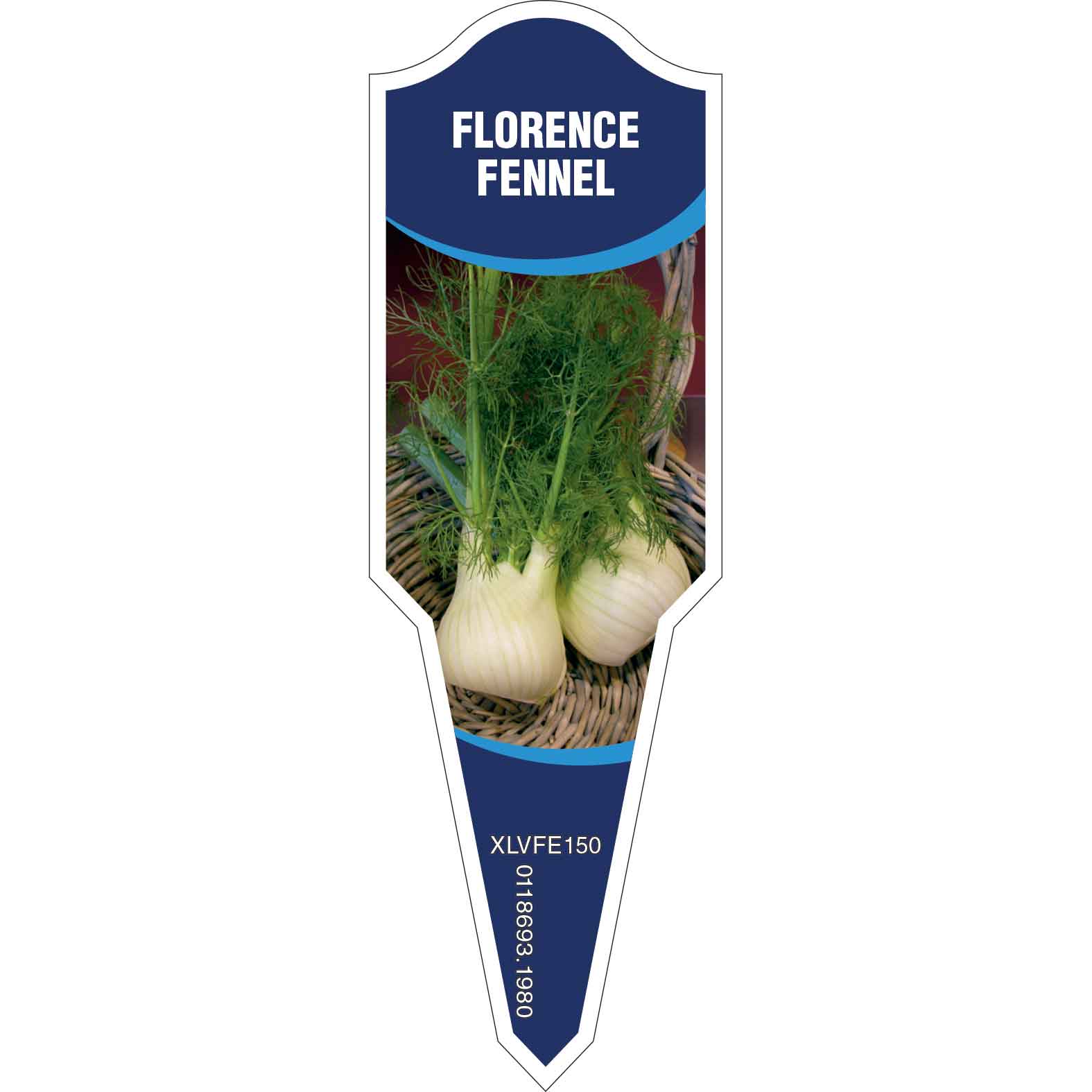 FENNEL Florence - Egmont Commercial