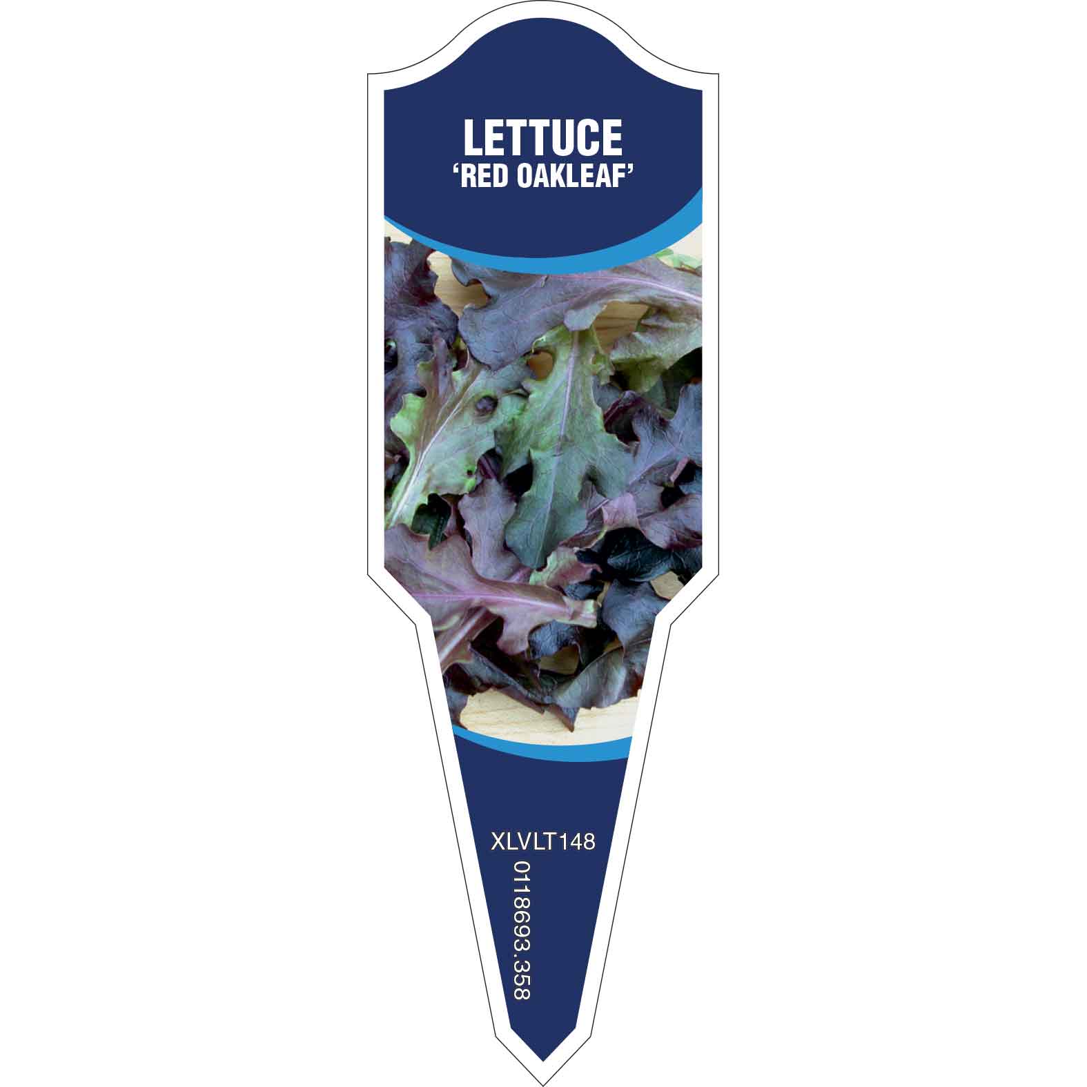 LETTUCE Red Oakleaf - Egmont Commercial