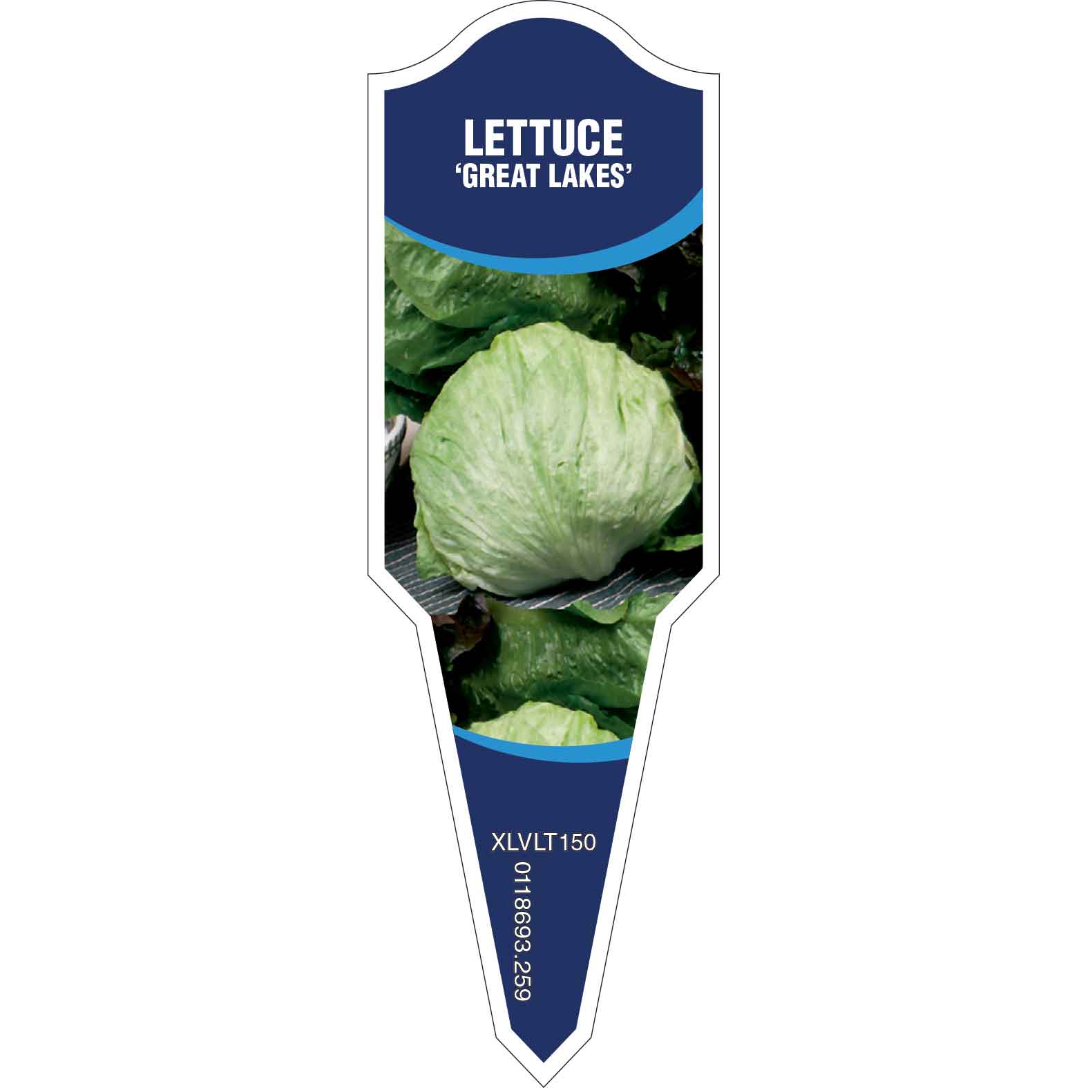LETTUCE Great Lakes - Egmont Commercial