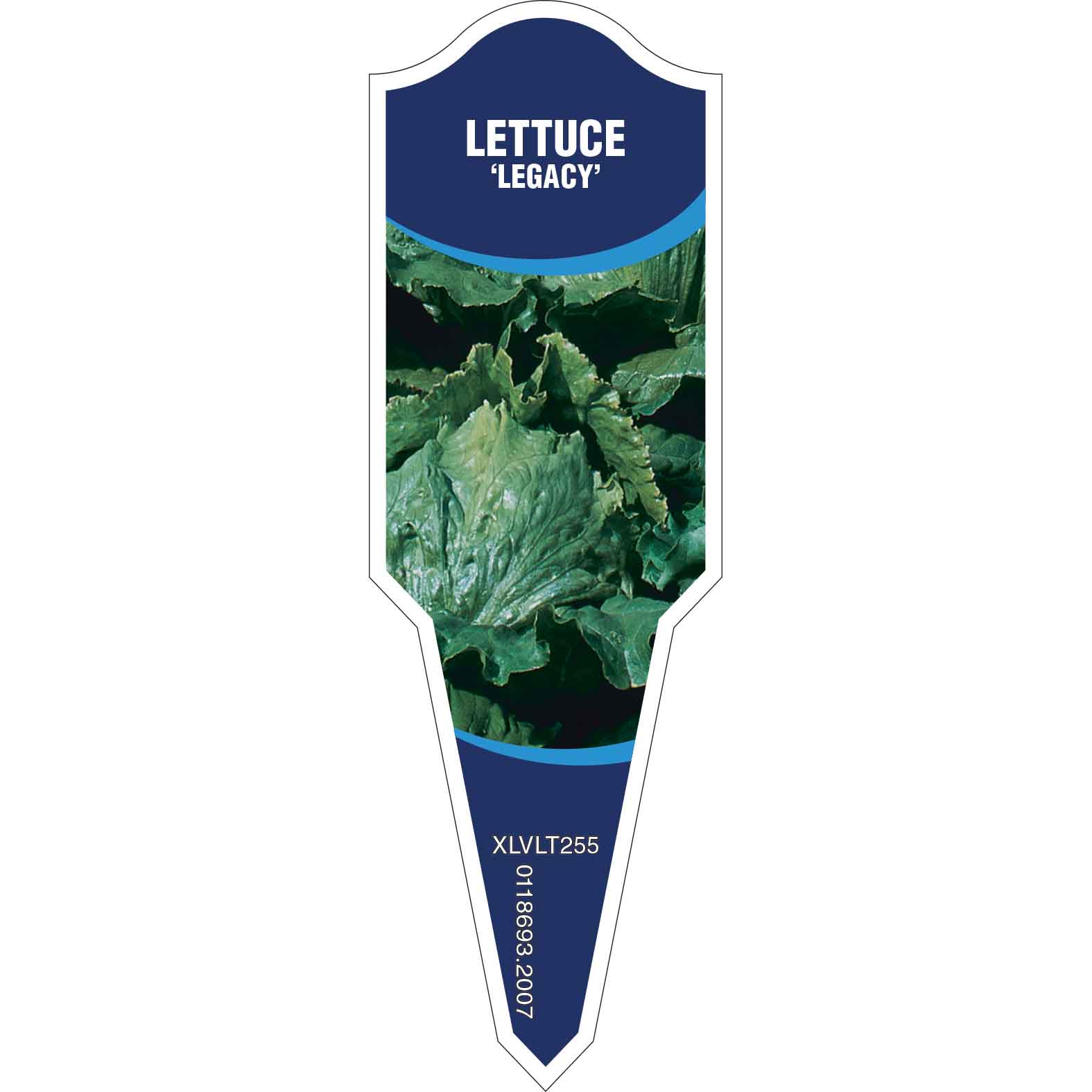 LETTUCE Legacy - Egmont Commercial