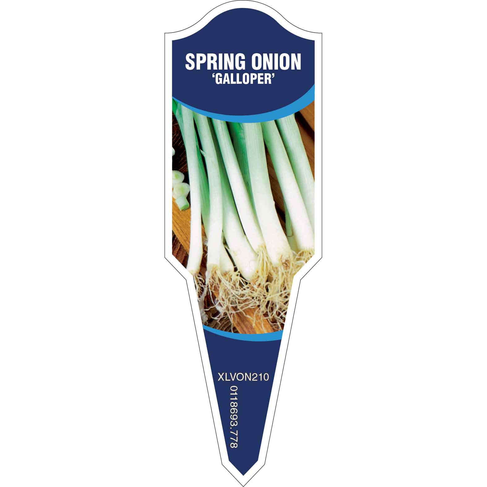 ONION SPRING Galloper - Egmont Commercial
