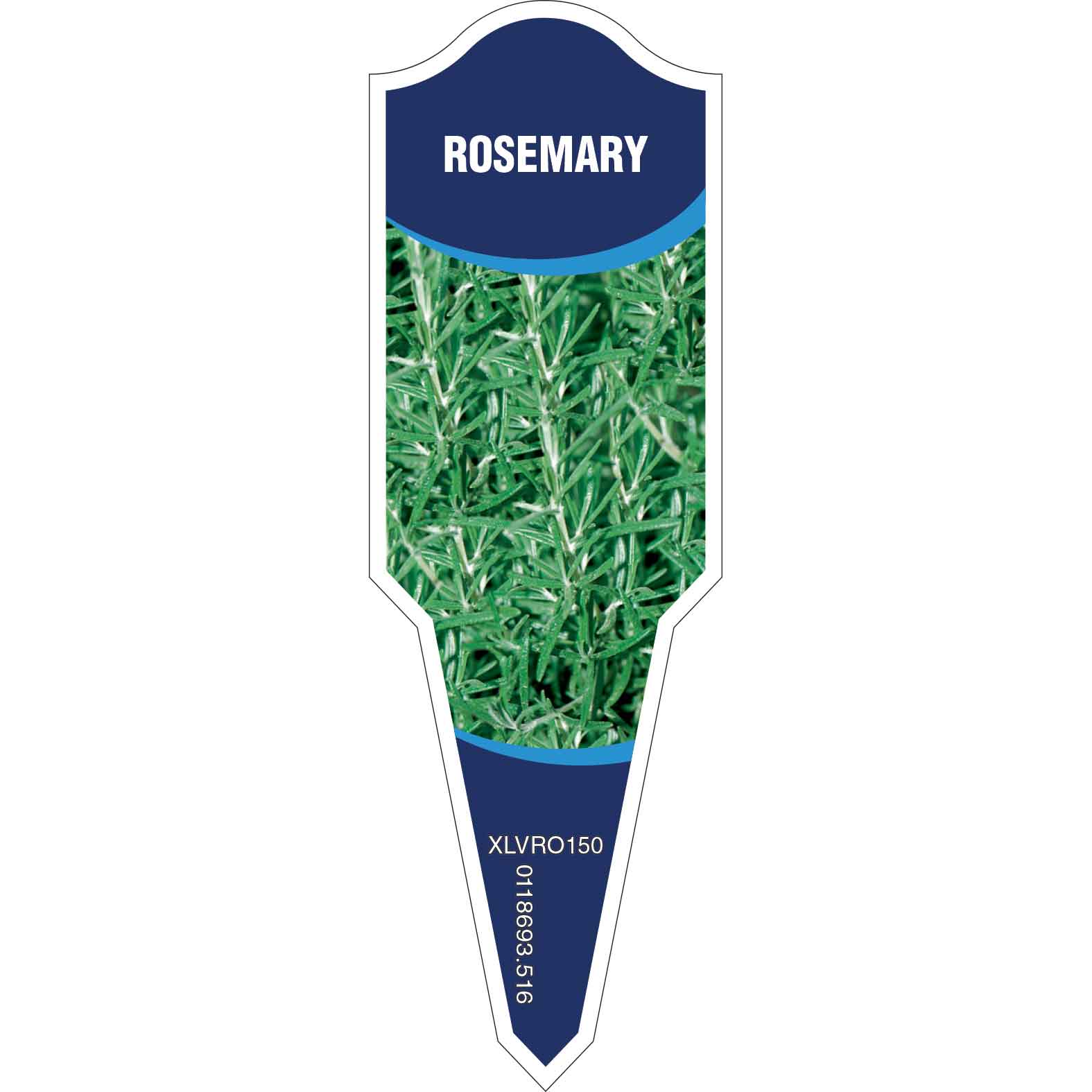 ROSEMARY - Egmont Commercial