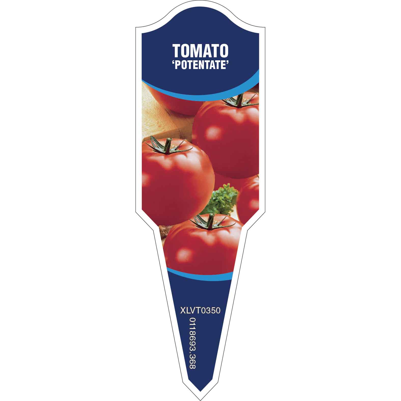 TOMATO Potentate - Egmont Commercial
